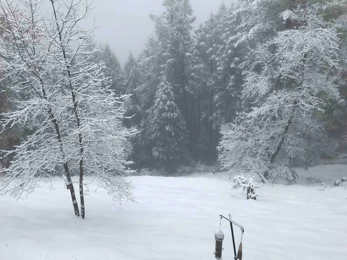 Lecciones de la Nieve - Ananda En Argentina